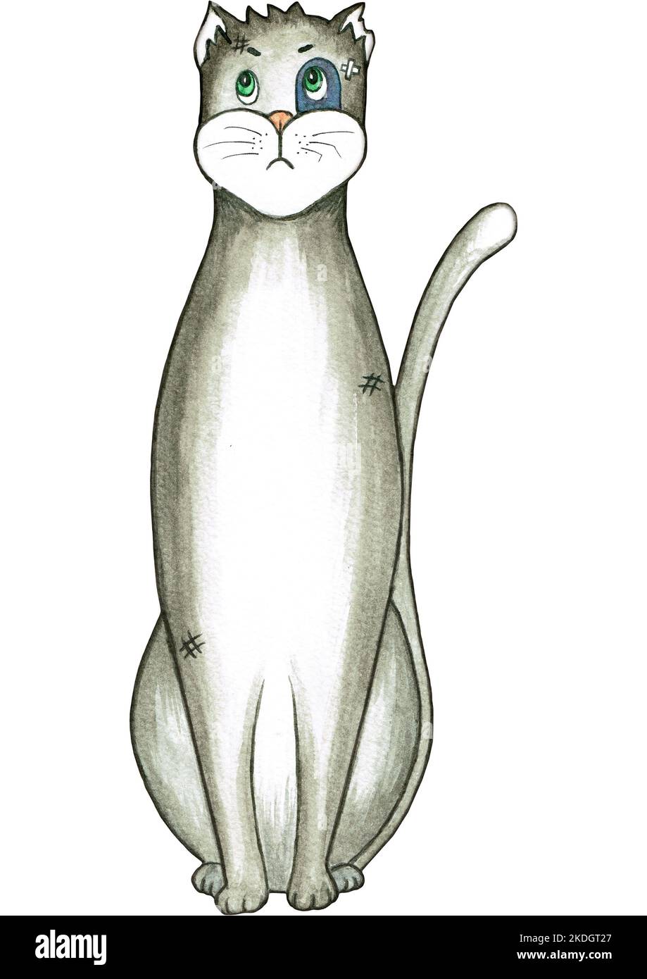 Street cat street cat Cut Out Stock Images & Pictures - Alamy