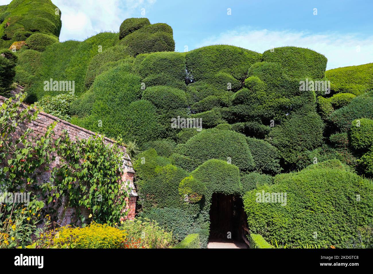 Powis castle yew trees hi-res stock photography and images - Alamy