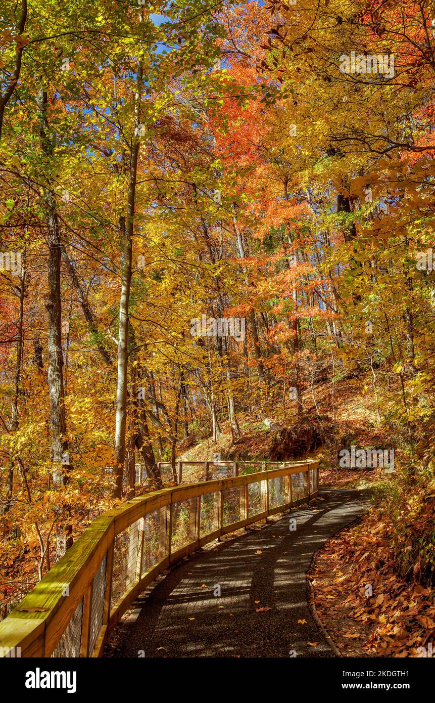 Amacalola hi-res stock photography and images - Alamy