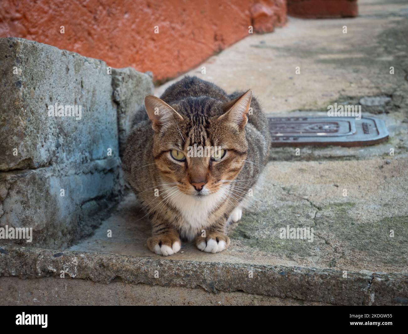 Bleacher sits hi-res stock photography and images - Alamy