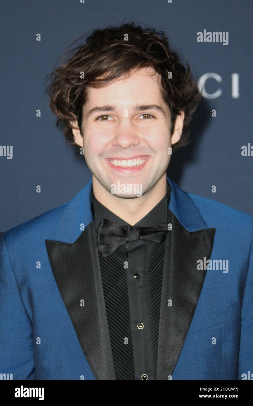 David Dobrik attends the 2022 LACMA ART+FILM GALA Presented By Gucci at ...