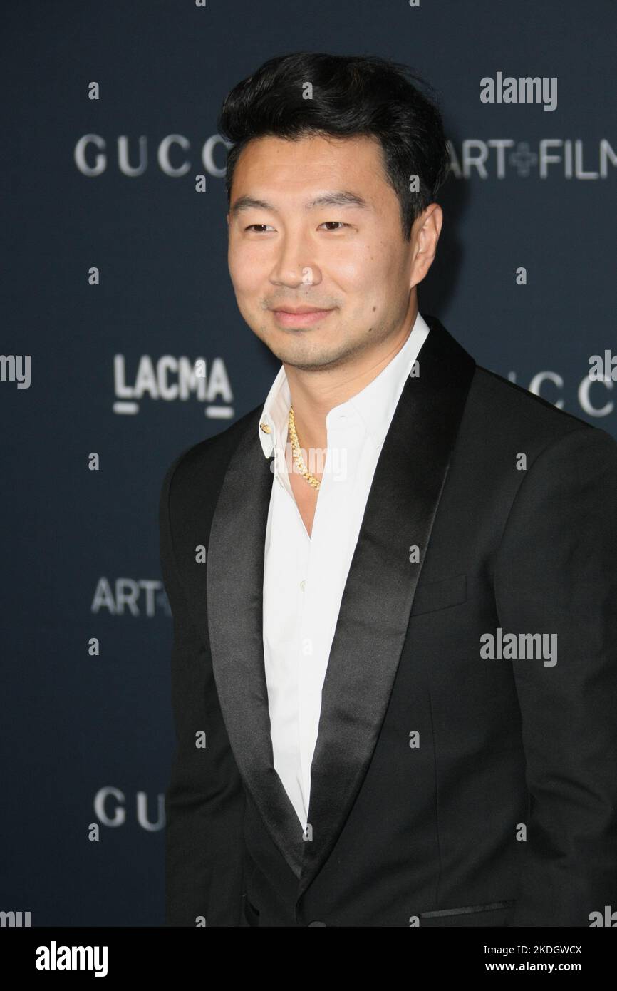 Simu Liu attends the 2022 LACMA ART+FILM GALA Presented By Gucci at Los ...
