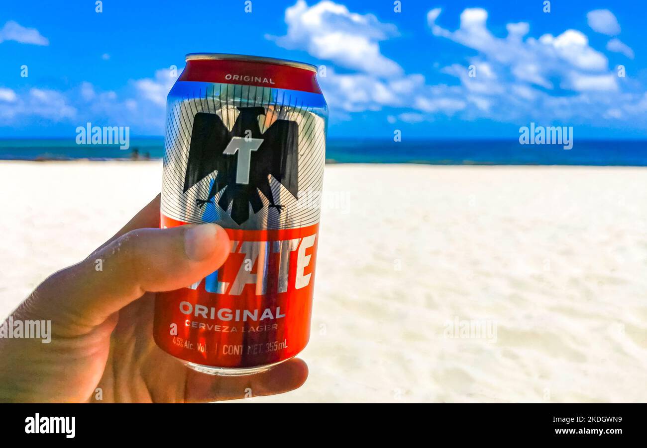 Drinking a can of cold beer Tecate red on the beach in paradise in ...
