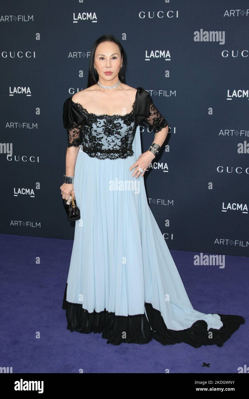 Los Angleles, USA. 05th Nov, 2022. Eva Chow attends the 2022 LACMA ART ...