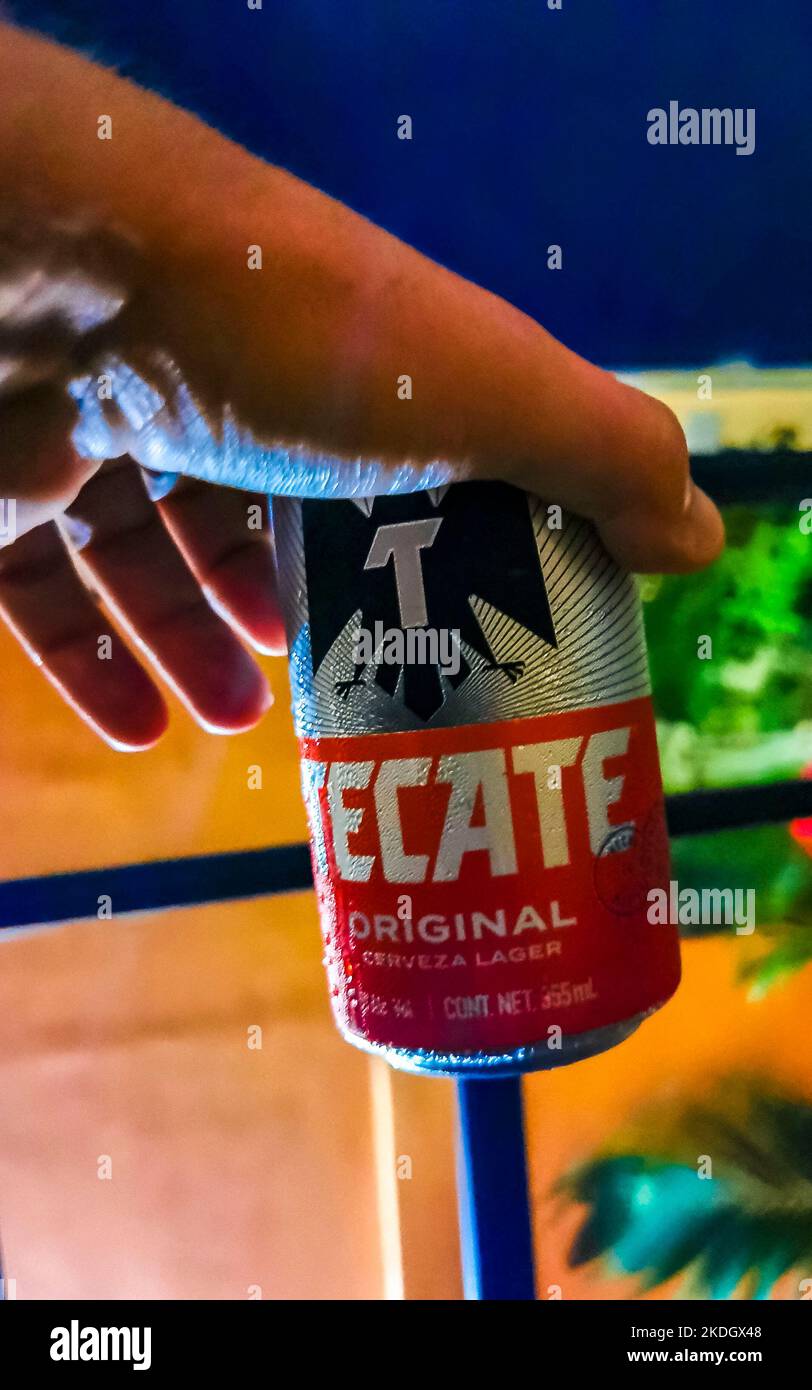 Drinking a can of cold beer Tecate red on the beach in paradise in ...