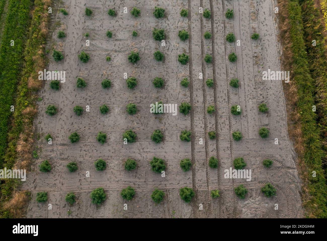 Top down aerial hi-res stock photography and images - Alamy