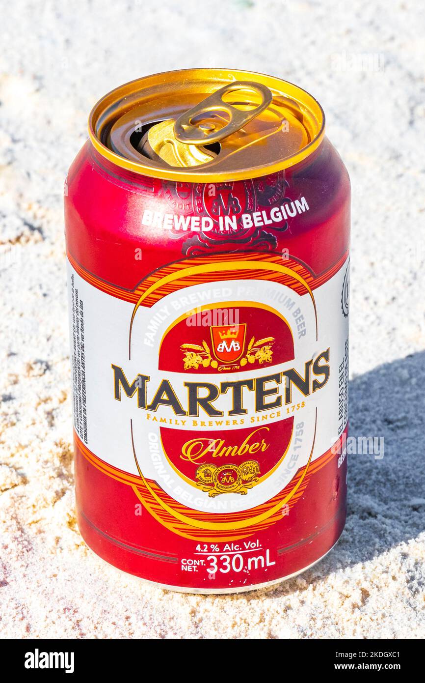 Drinking a can of cold beer Martens on the beach in paradise on Isla ...