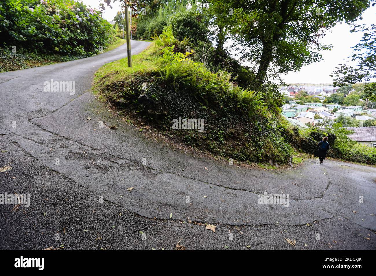 Worlds steepest road gradient hi-res stock photography and images - Alamy