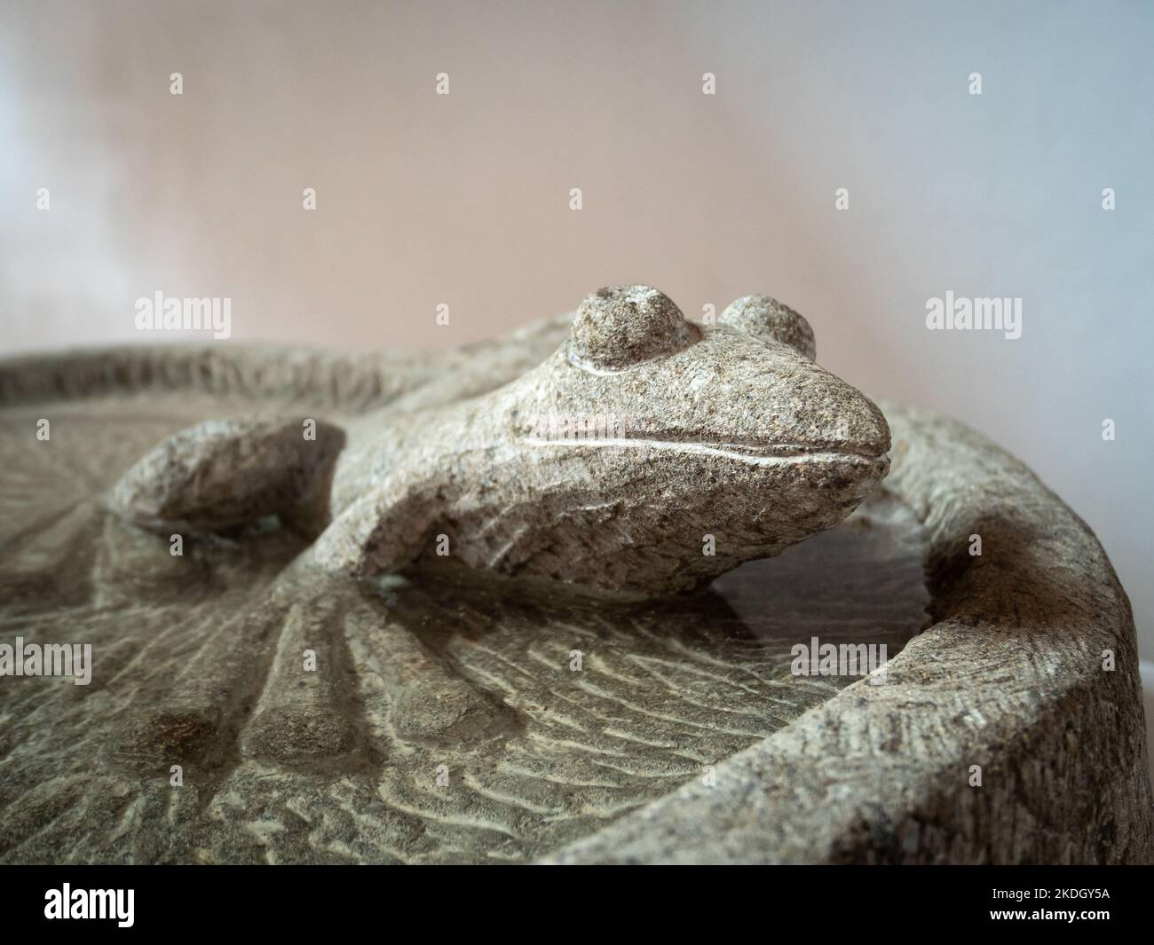 Frog Sculpted in Stone in Fountain Water Against White Wall Stock Photo ...