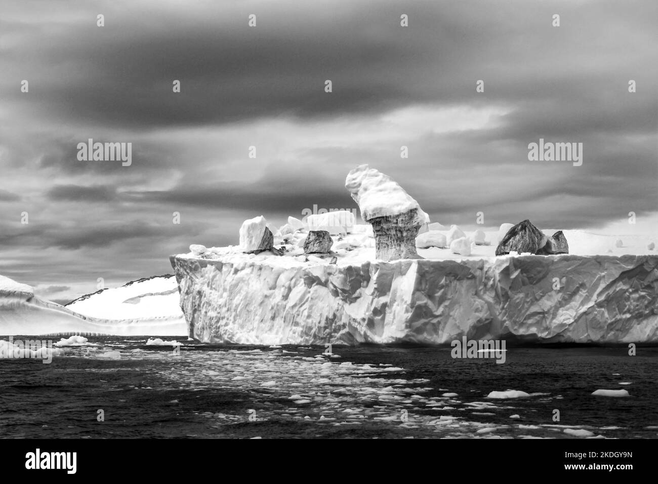 An iceberg floating in Antarctica Stock Photo - Alamy