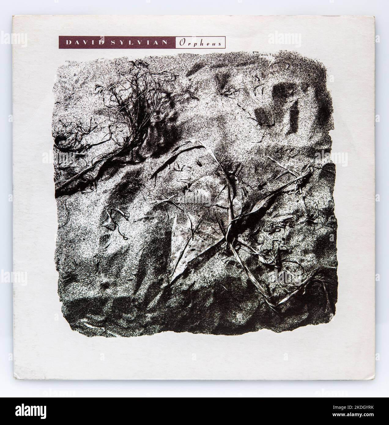 David sylvian 80s hi-res stock photography and images - Alamy