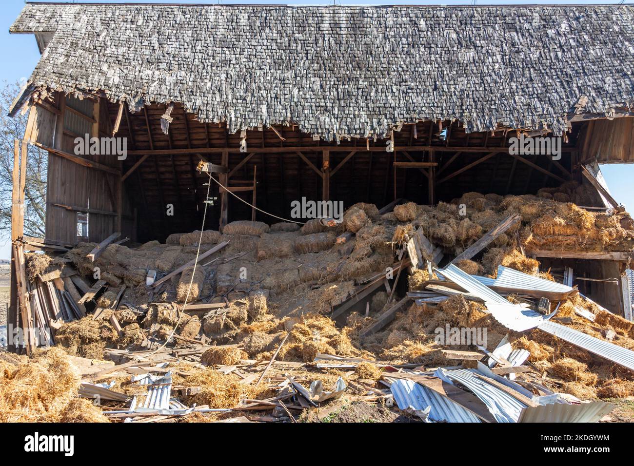 View of an old abandoned barn in the process of demolition, with fallen ...