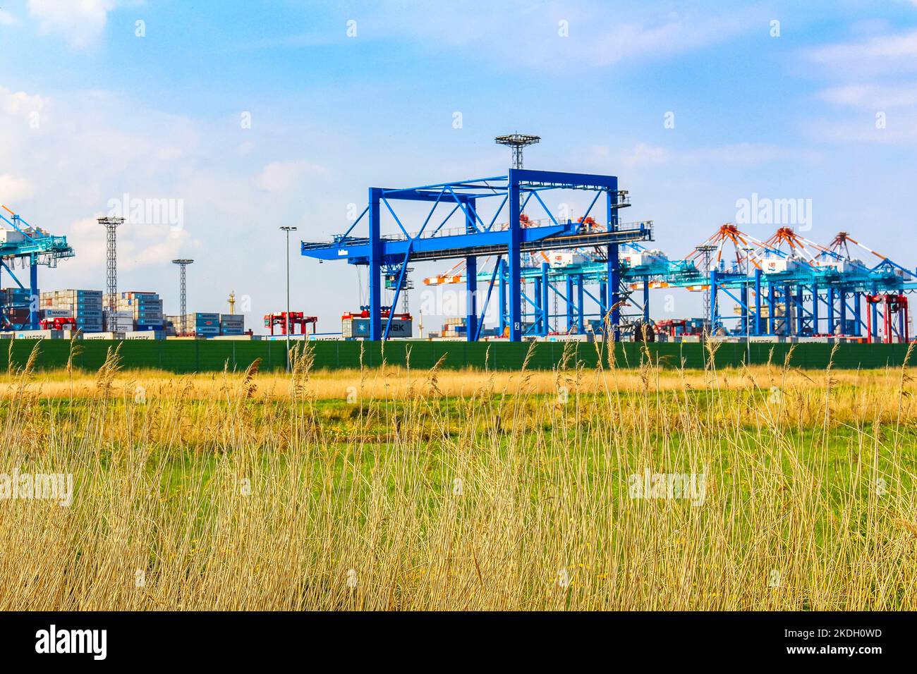 Industrial area cranes and container harbor with beautiful grassland ...