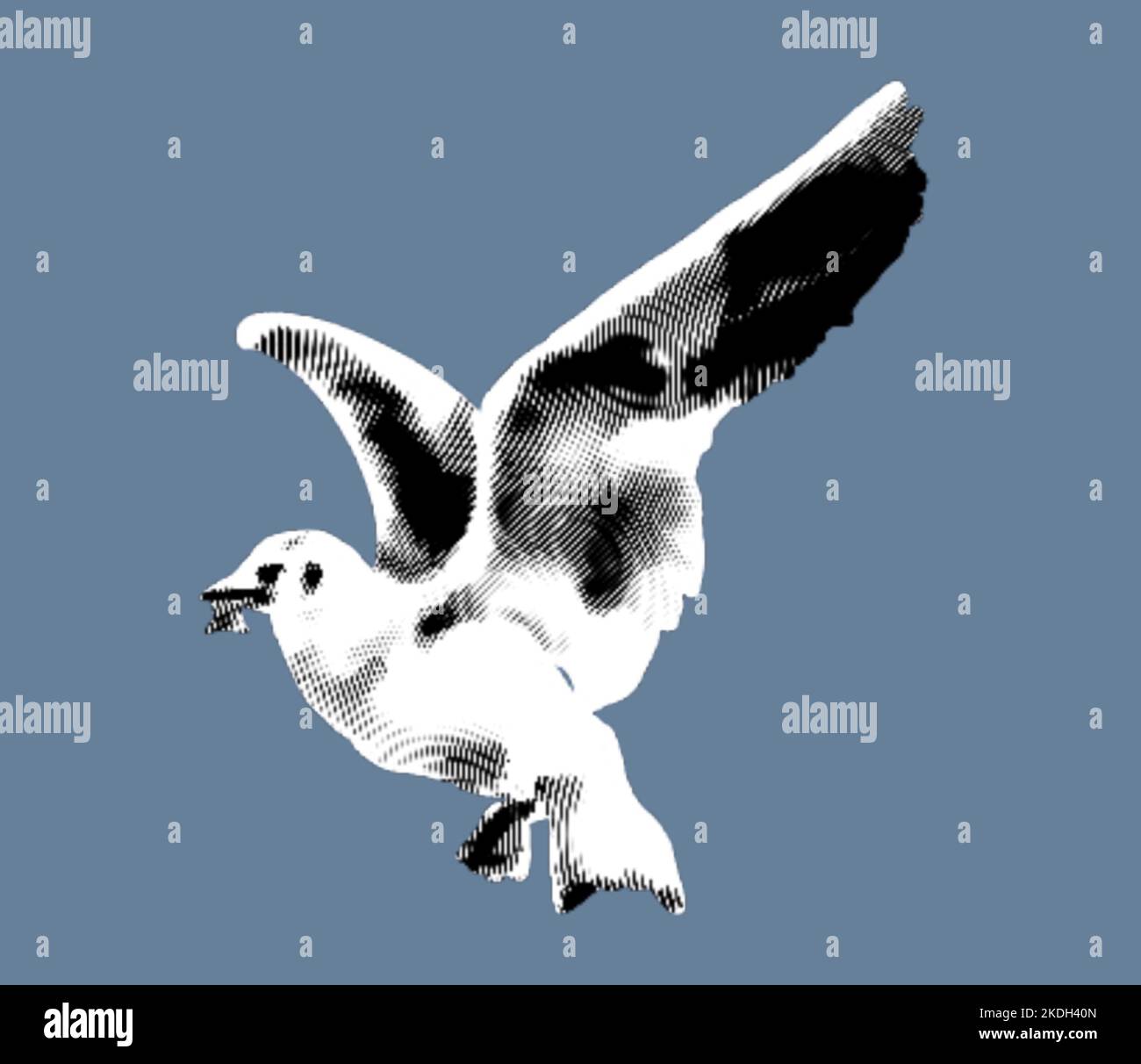 Engraving of a sea gull. realistic illustration of a seabird Stock ...