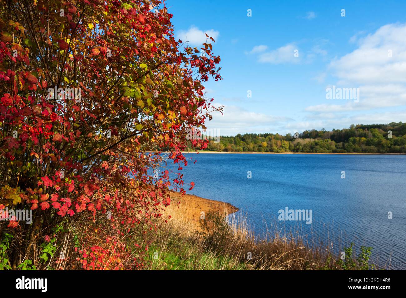 Autumn landscape with lake Chamboux in Morvan natural park, Burgundy ...