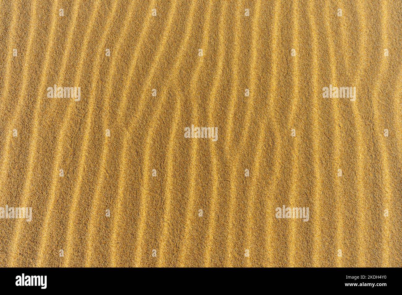 Gold sand texture, background series Stock Photo - Alamy