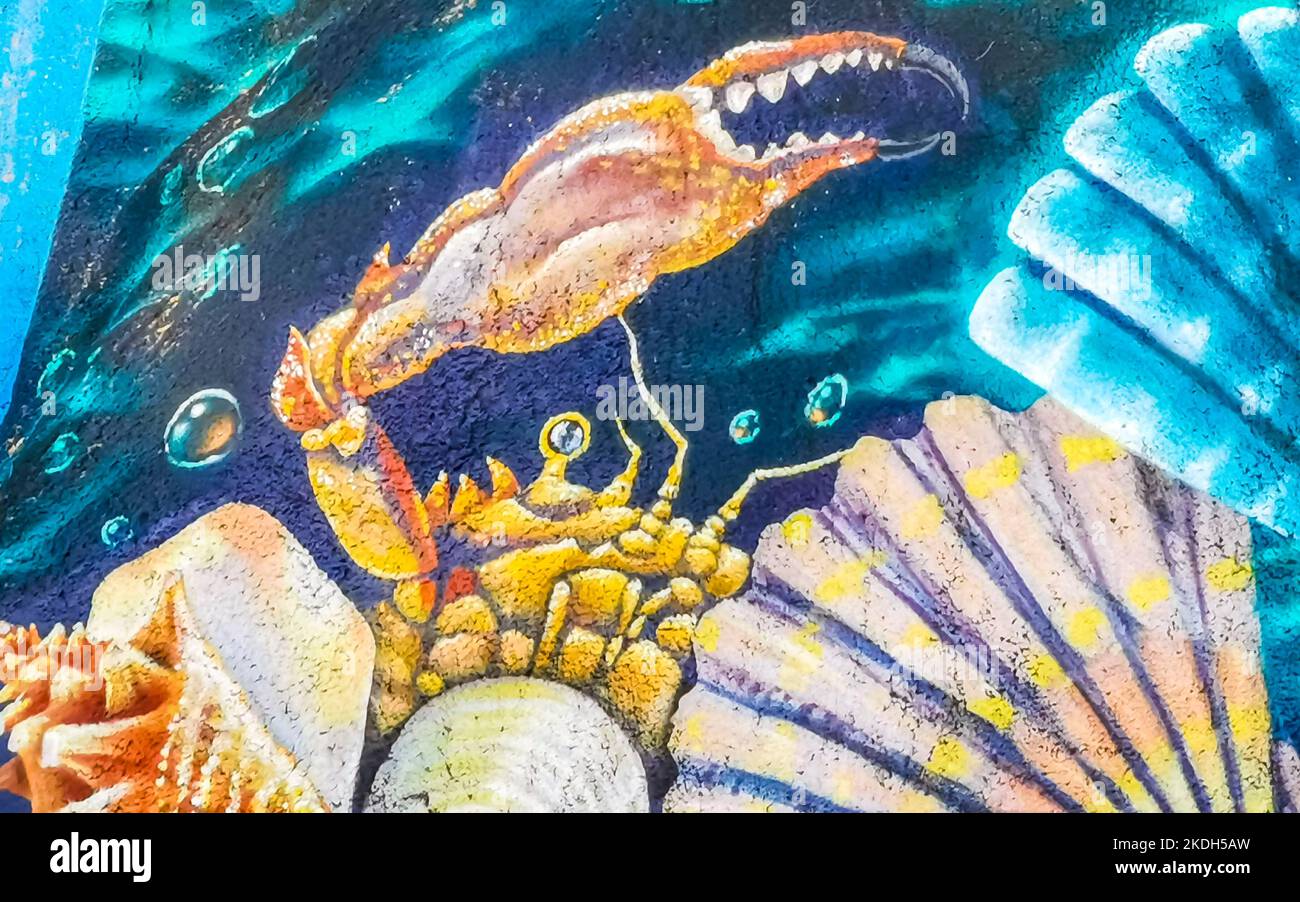 Wall with surf ocean sunset shark turtle coral woman and water graffiti ...