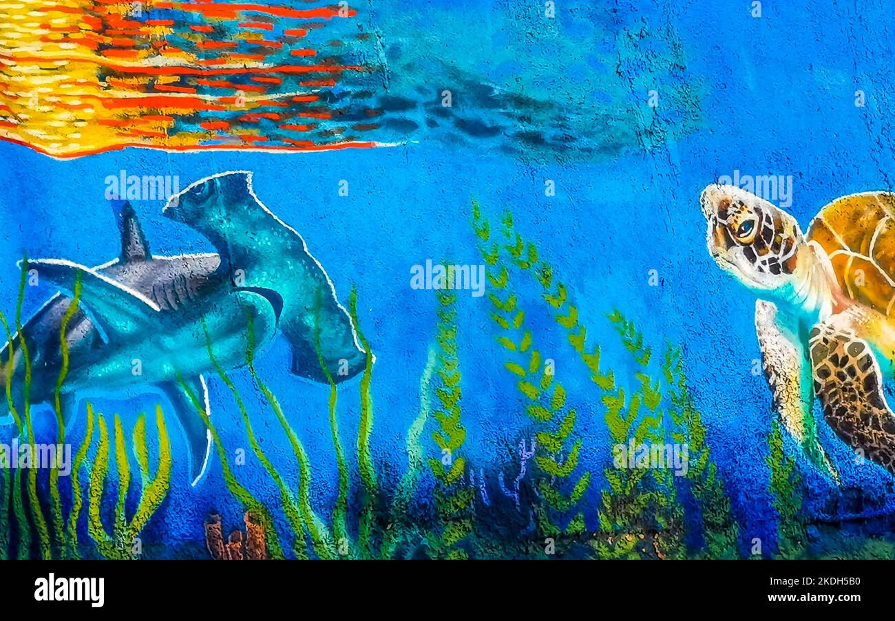 Wall with surf ocean sunset shark turtle coral woman and water graffiti ...