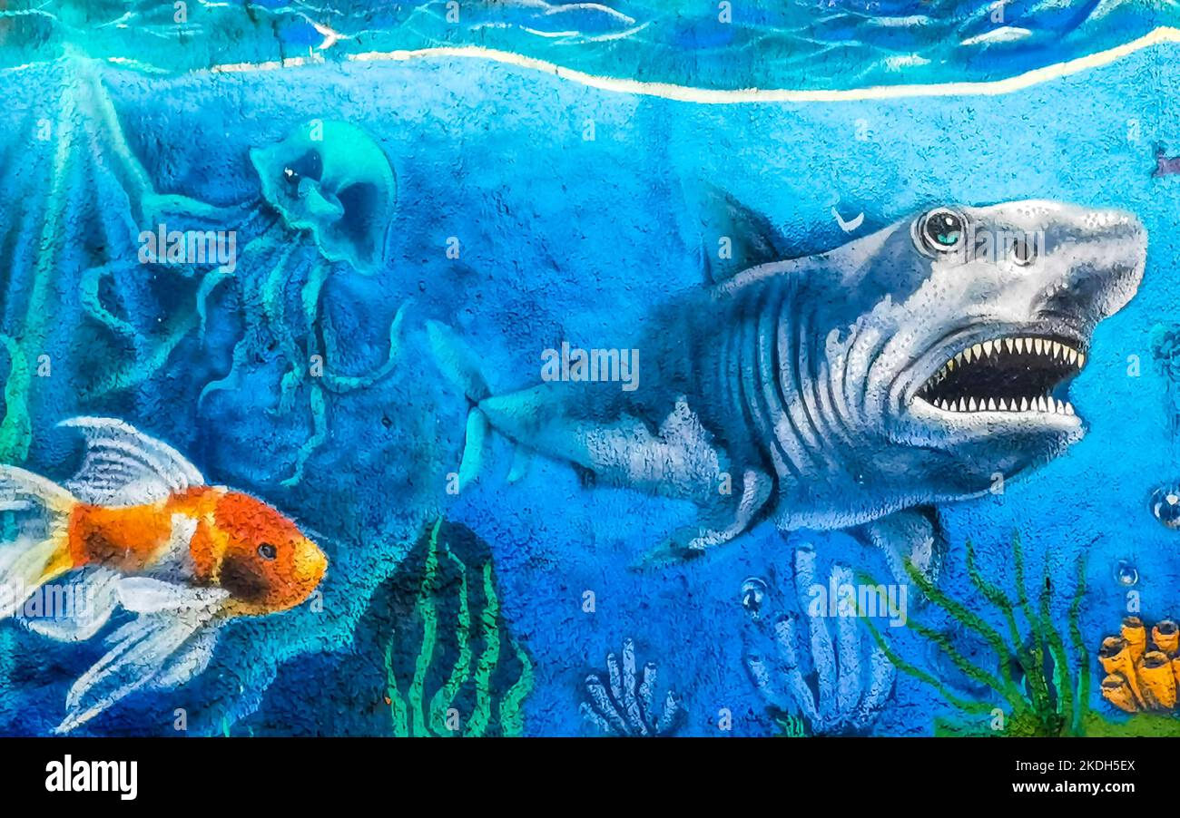 Wall with surf ocean sunset shark turtle coral woman and water graffiti ...
