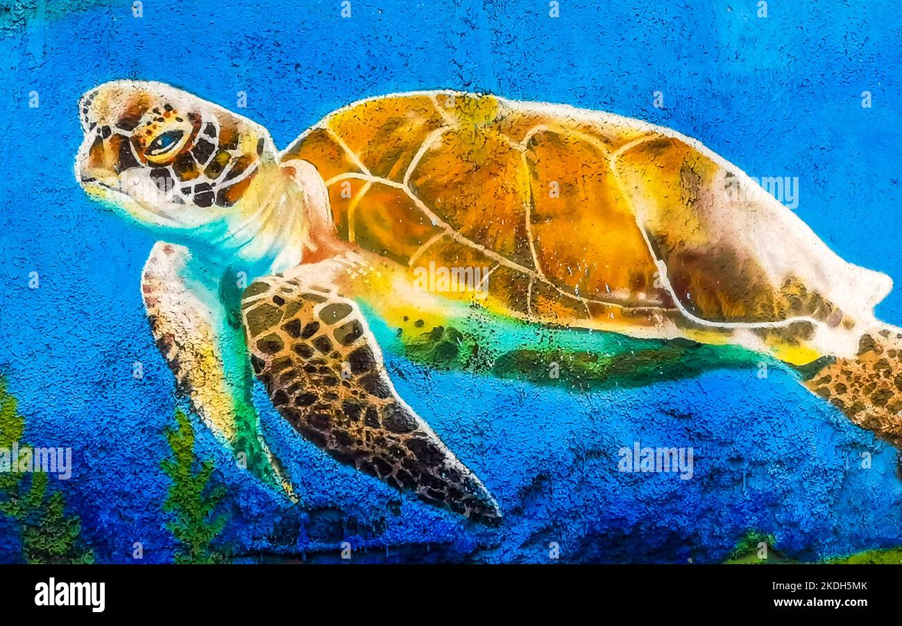 Wall with surf ocean sunset shark turtle coral woman and water graffiti ...