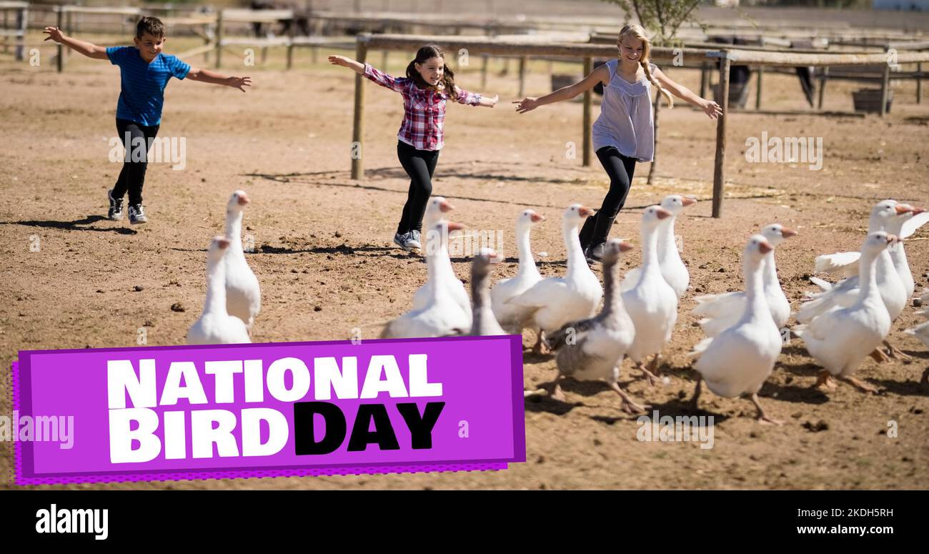 Composite of children running behind waddling of ducks in farm and ...