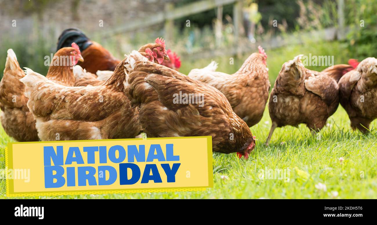 March 19 Poultry Day