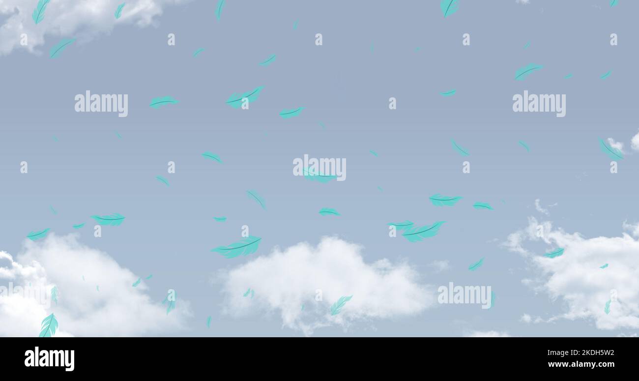 Blue feathers hi-res stock photography and images - Alamy