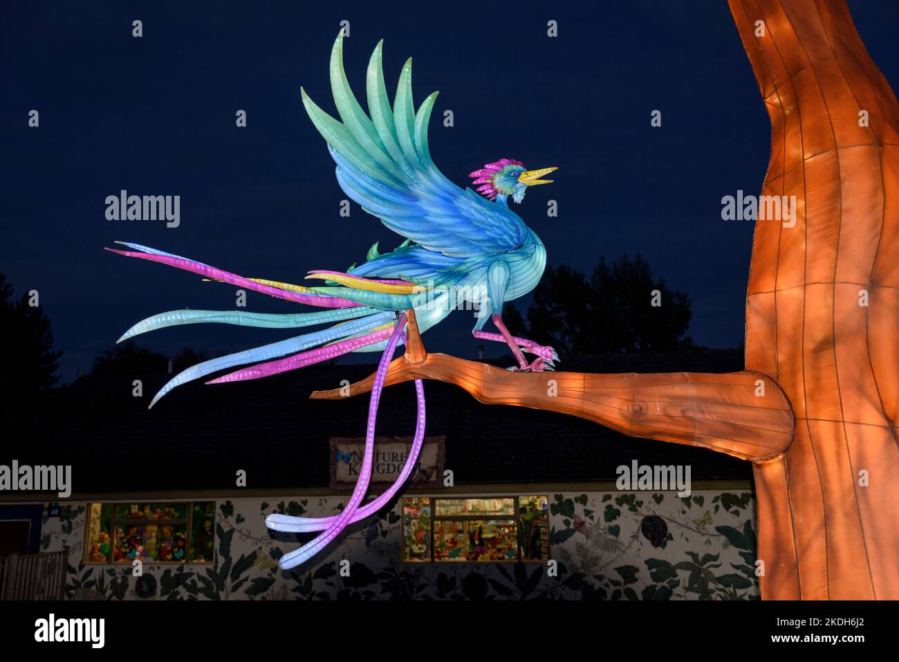 Longleat Festival of Light 2022 - The Wondrous Worlds of Roald Dahl ...