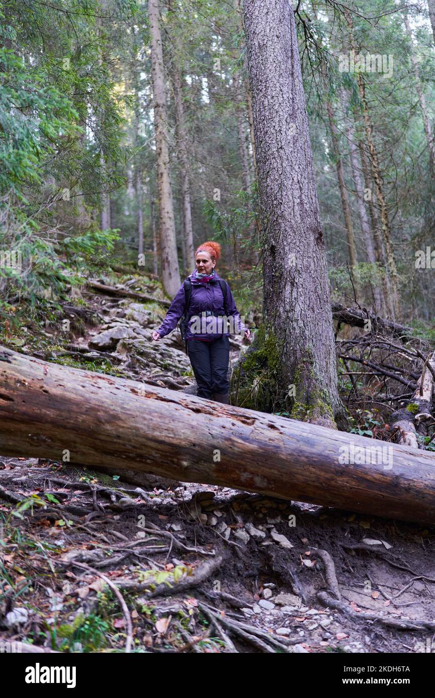 Woman hiker with backpack on a hiking trail in the mountains Stock ...