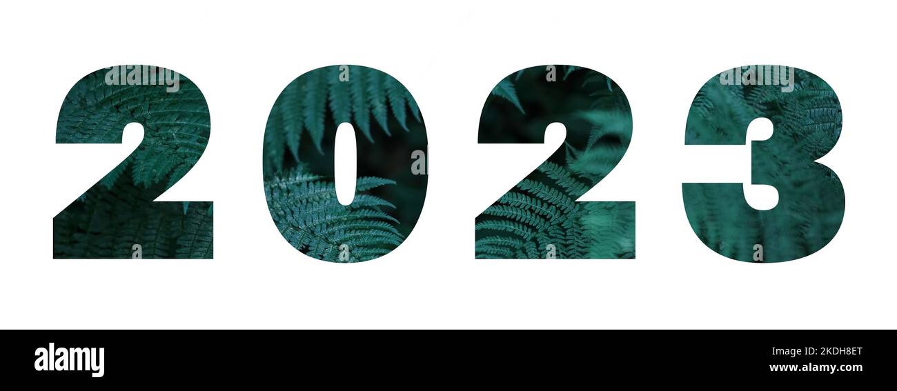 Lettering 2023 as green natural background on a white background Stock ...