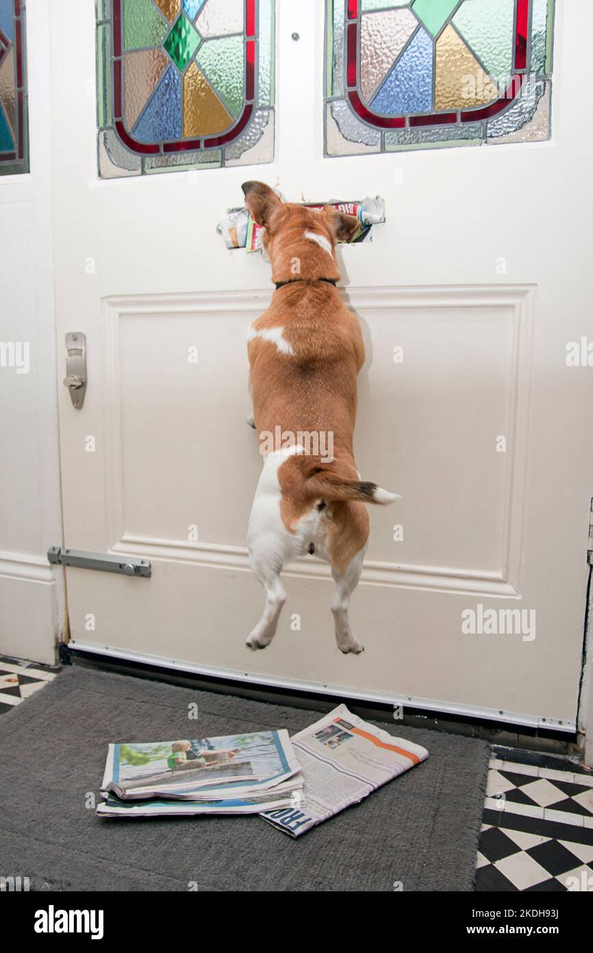 Andobe2075d hi-res stock photography and images - Alamy