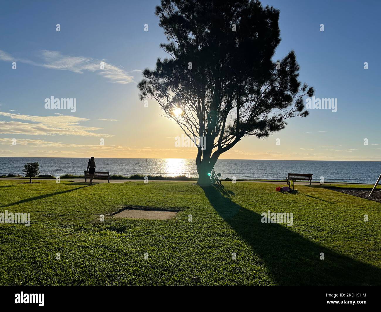 Beach-side resort with trees Stock Photo - Alamy
