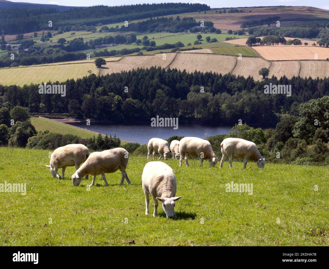 Low bradfield hi-res stock photography and images - Alamy