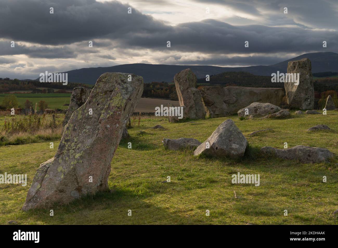 Upright flankers hi-res stock photography and images - Alamy