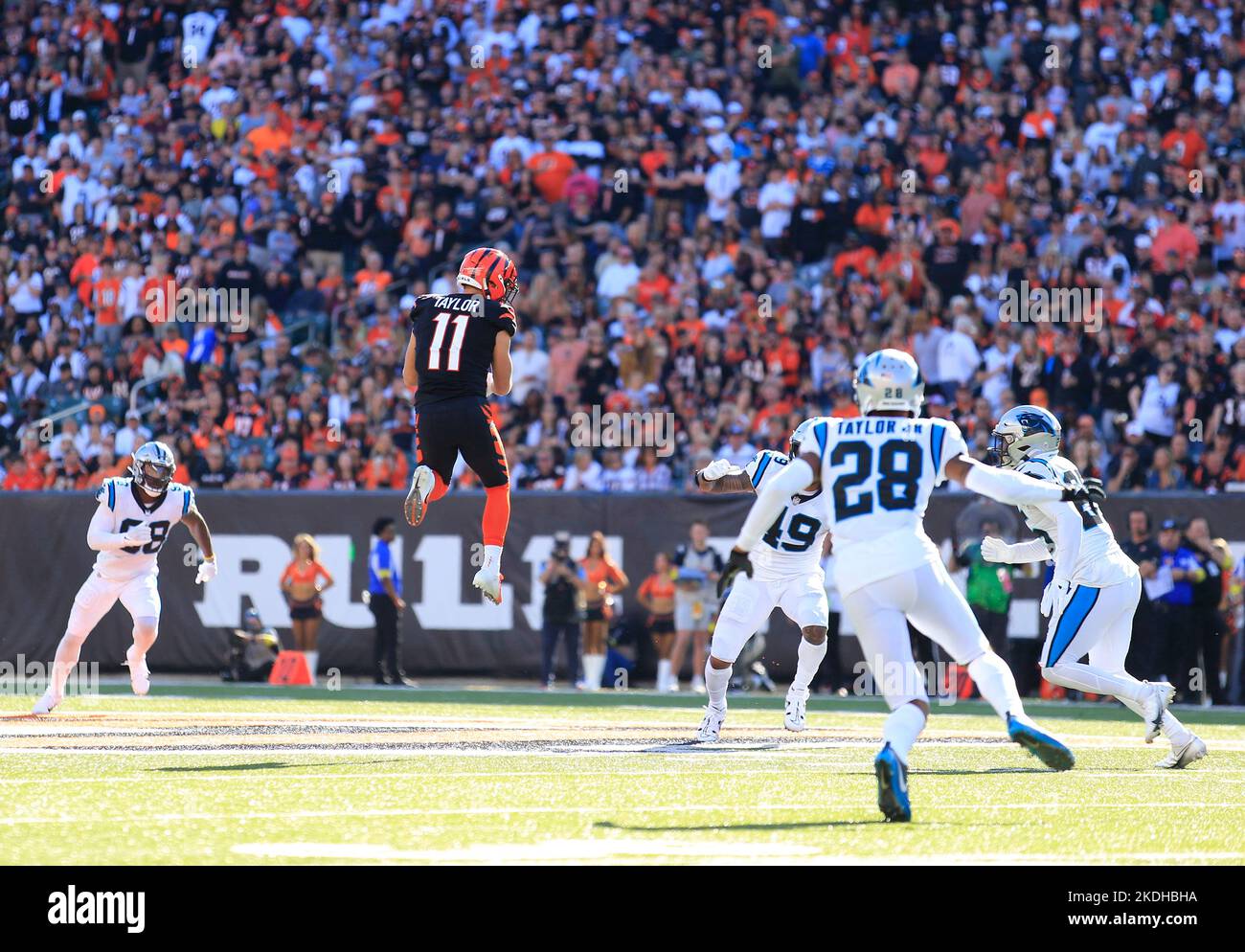 Cincinnati, Ohio, USA. 6th Nov, 2022. Trent Taylor (11) of the Cincinnati Bengals leaps to make ...