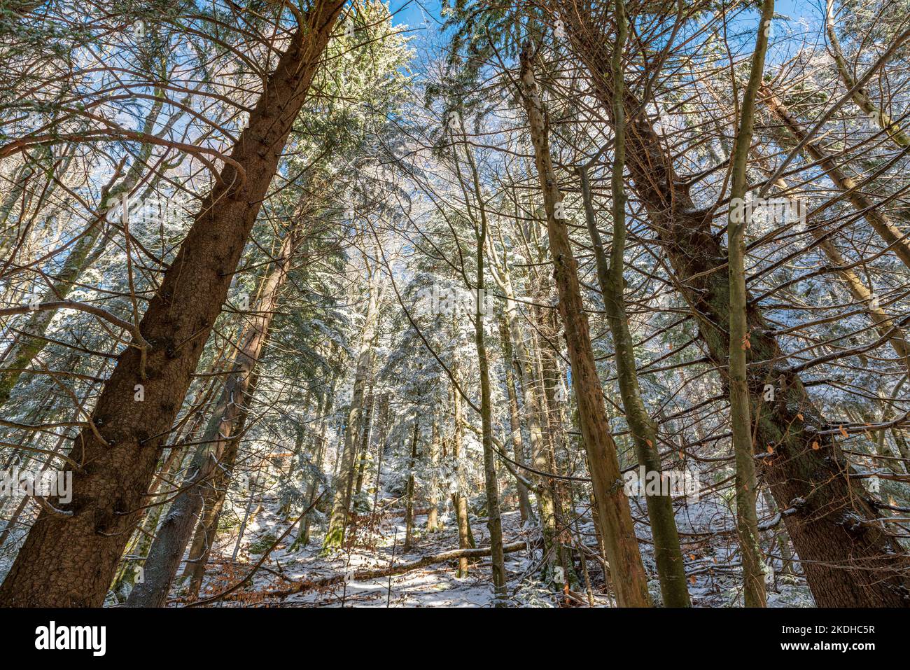 Rising footpath hi-res stock photography and images - Alamy