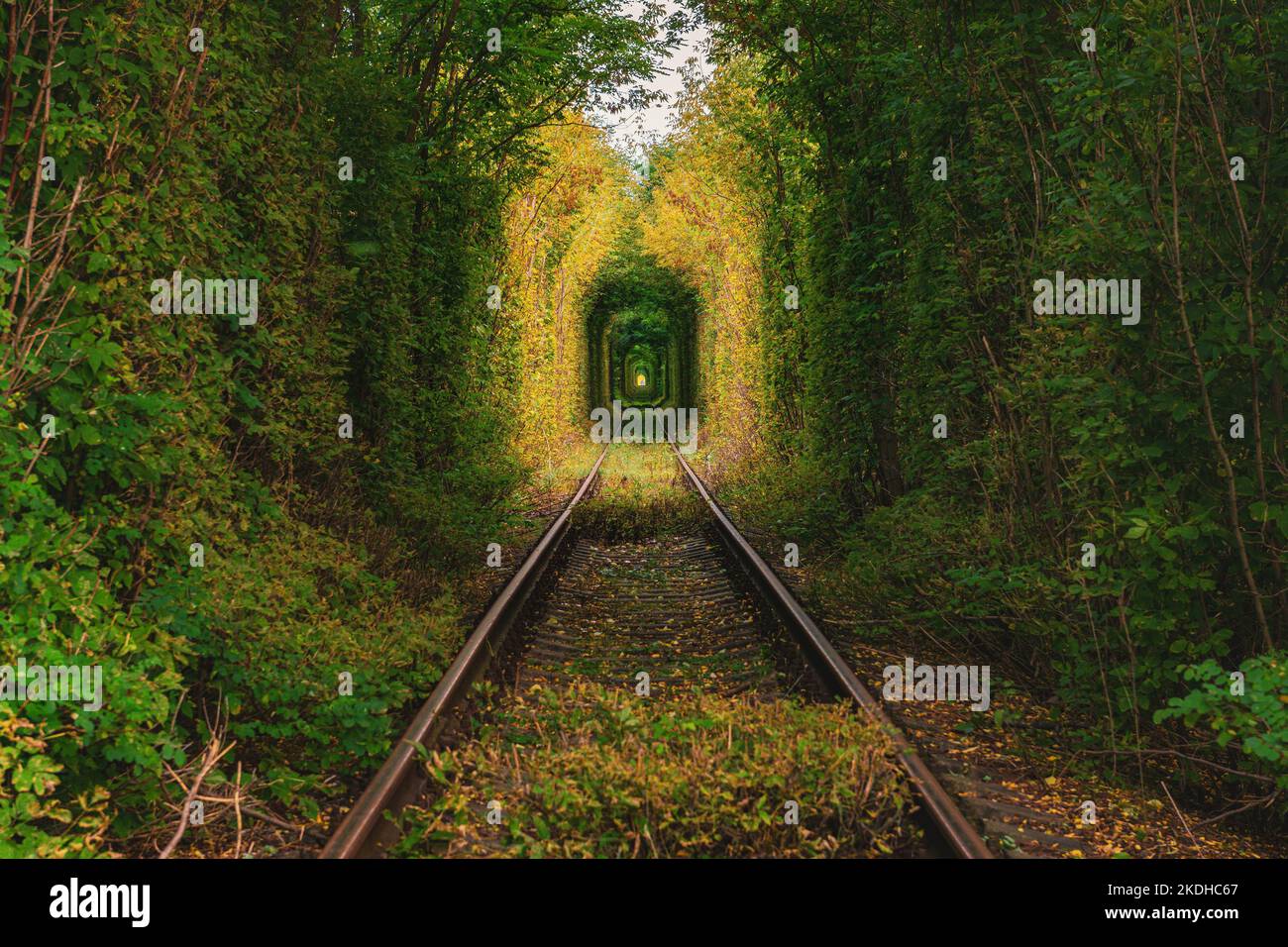 Romantic railroad tunnel in the trees. Railroad tunnel in Ukraine ...