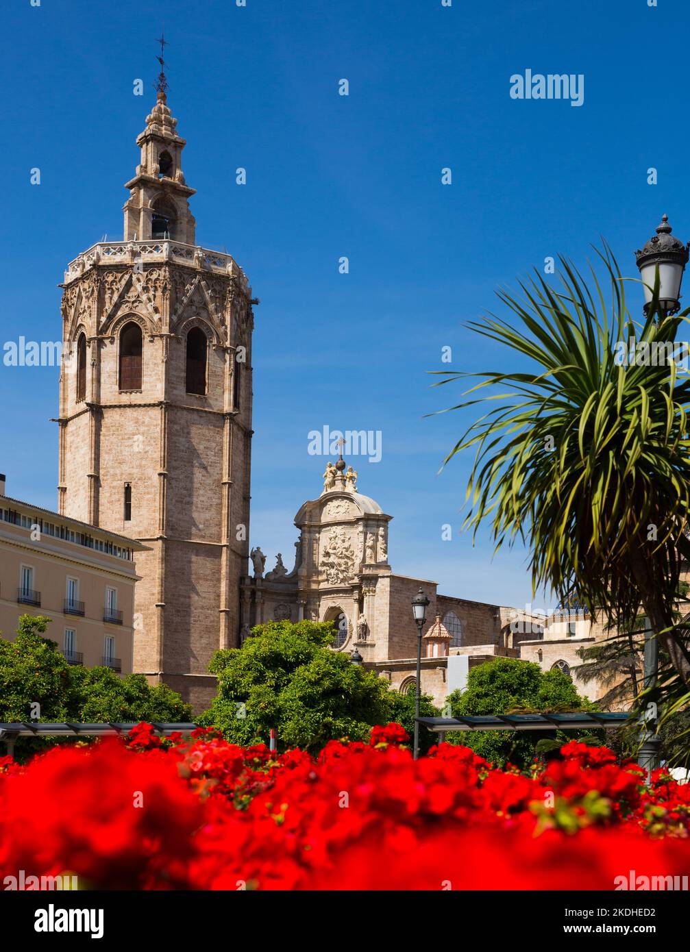 Picturesque view of Placa de la Reina Stock Photo - Alamy