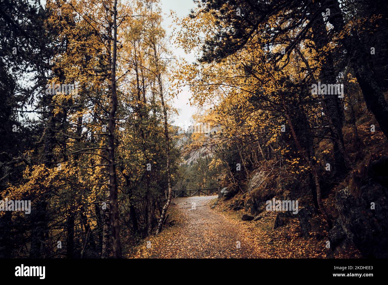 Walk in a valley surrounded by mountains and trees Stock Photo - Alamy