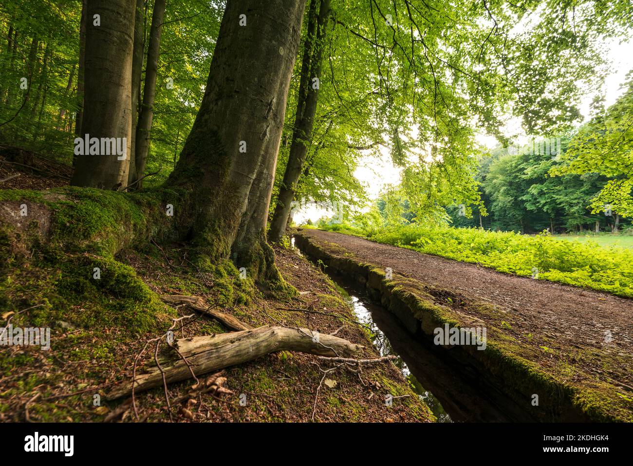 Stadtwasser hi-res stock photography and images - Alamy