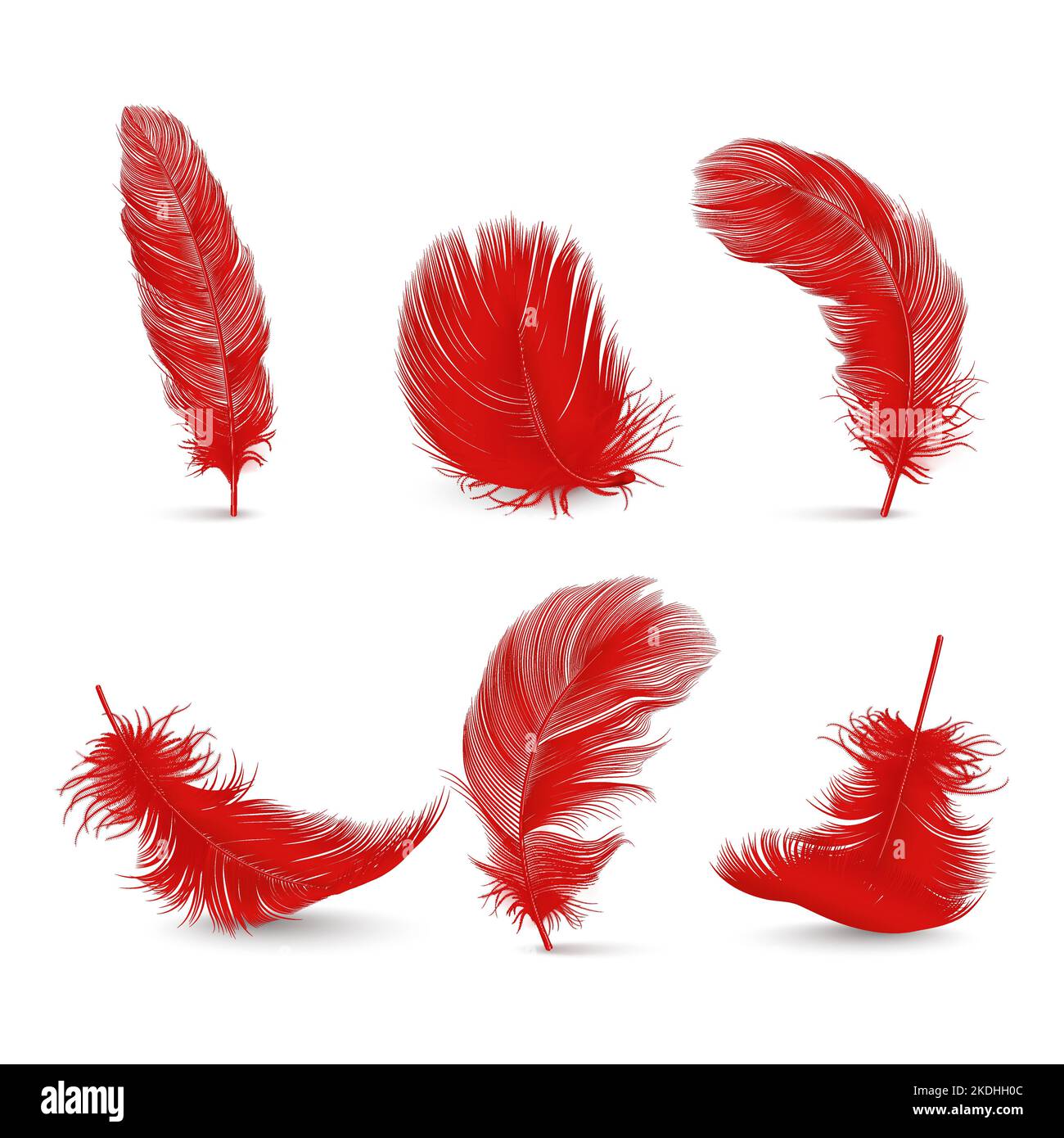 Vector 3d Realistic Red Fluffy Feather Set Isolated on White Background ...
