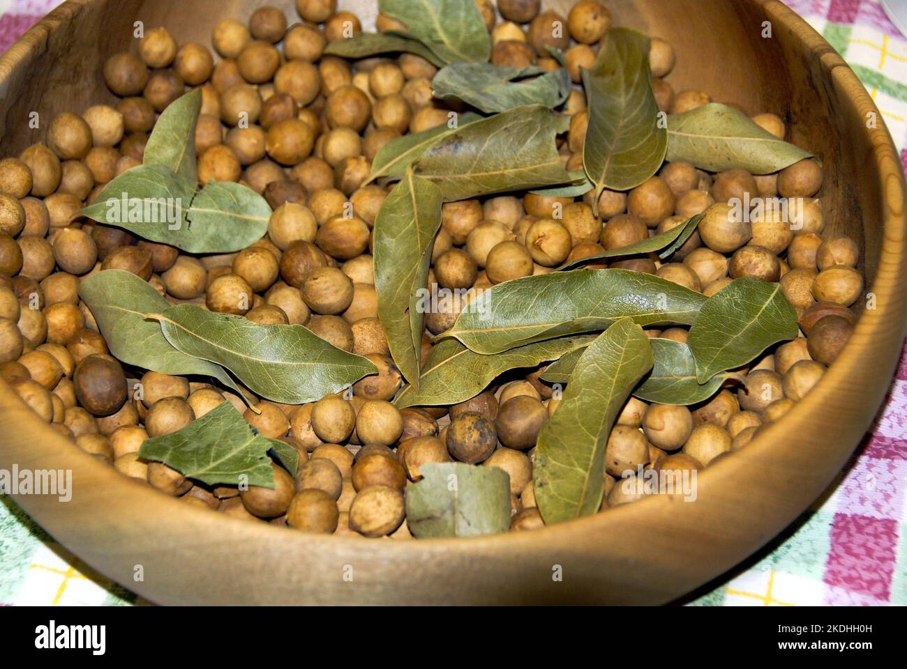 Myrtle Berries (Myrtus communis) from Southern Oregon Stock Photo - Alamy