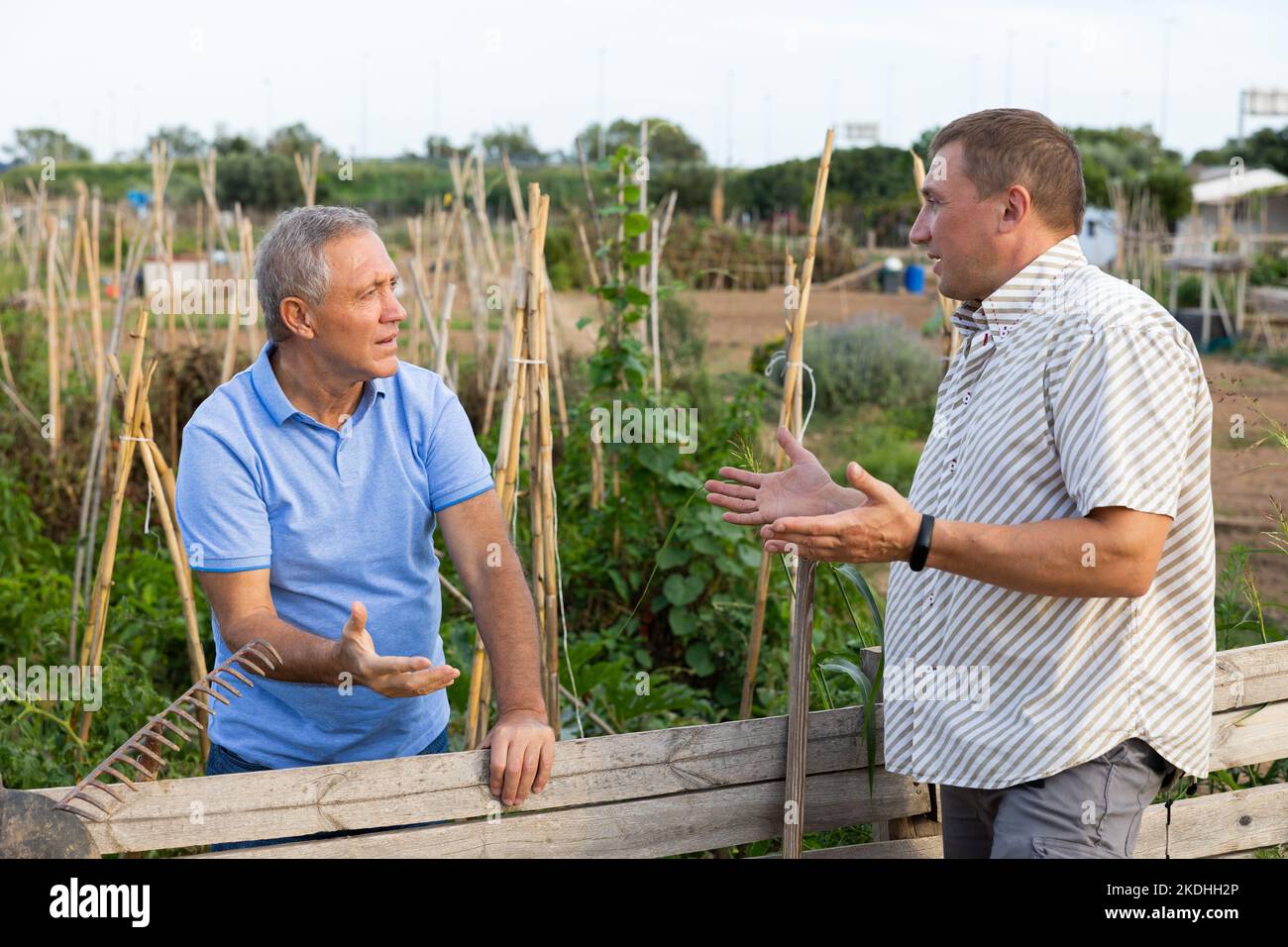 Two smiling male neighbors talking through wooden fence Stock Photo - Alamy