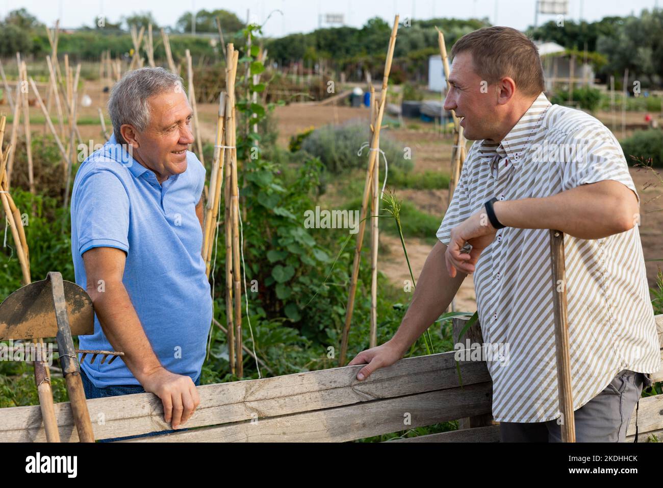 Two male farmers talking outside next to wooden fence on background ...