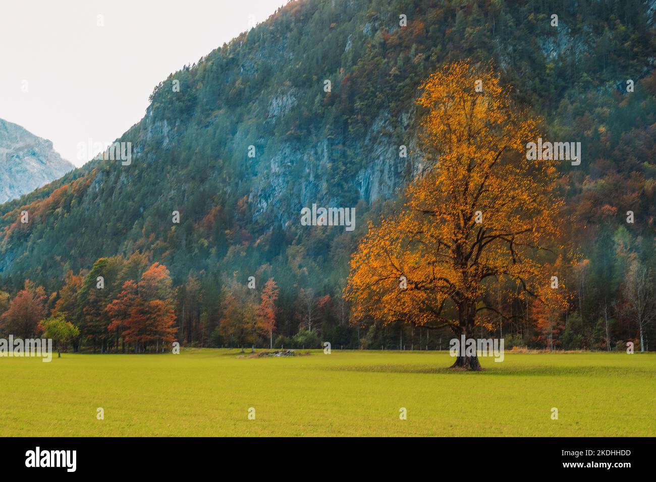 Logar valley or Logarska dolina in the Alps of Slovenia in autumn Stock ...