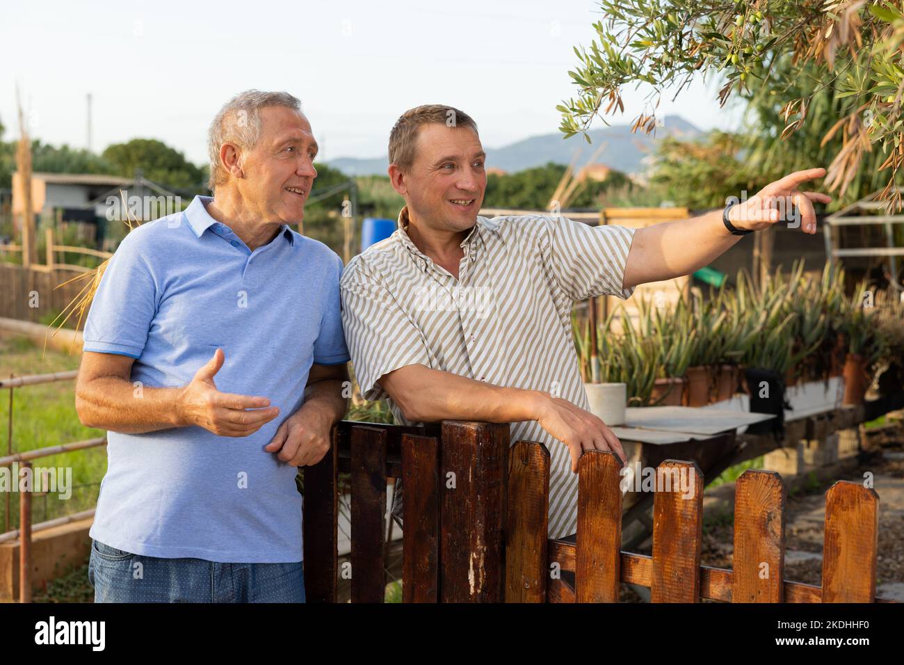 Two men neighbors standing at fence and chatting Stock Photo - Alamy