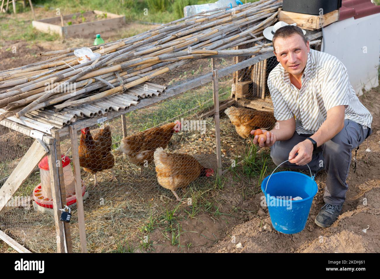 Male farmer collecting chicken eggs in chicken coop outdoors Stock ...