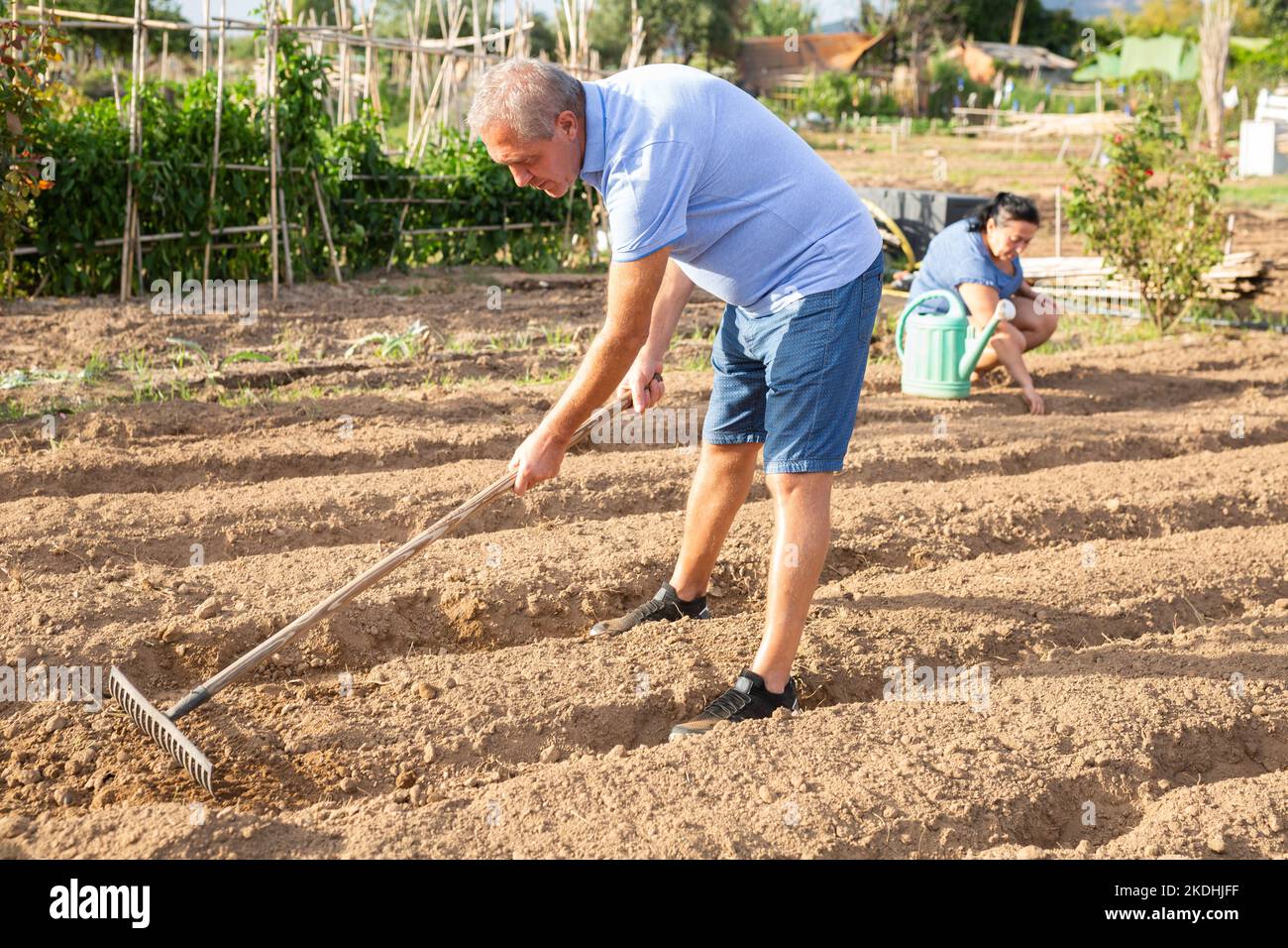 Family is working in garden - with help of rake they prepare soil for ...