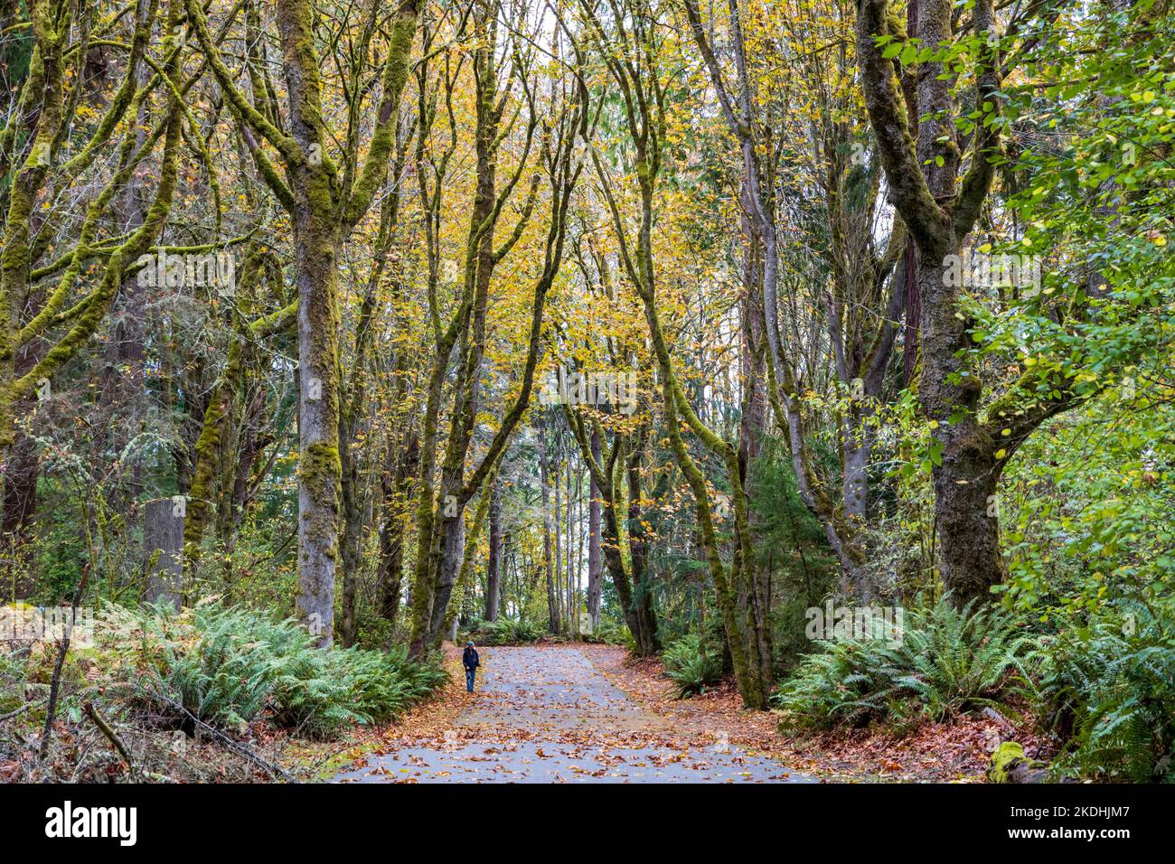 Point defiance park hi-res stock photography and images - Alamy