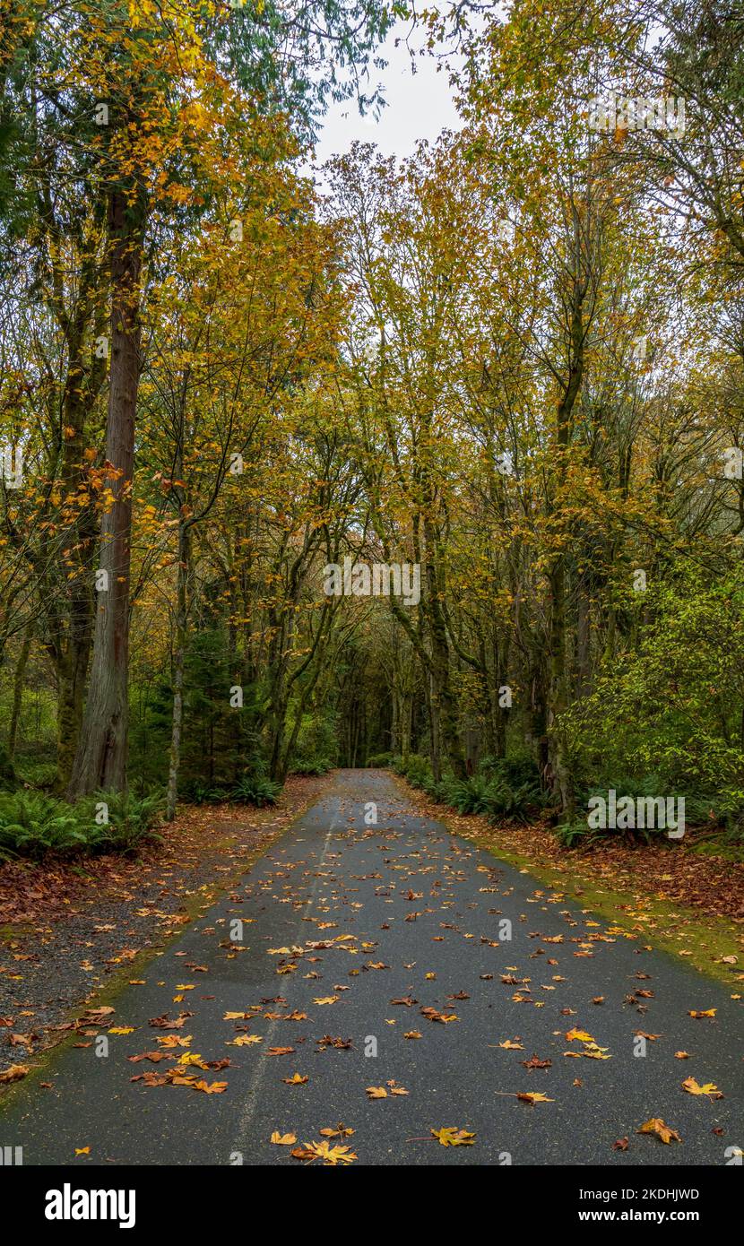 Point defiance park hi-res stock photography and images - Alamy